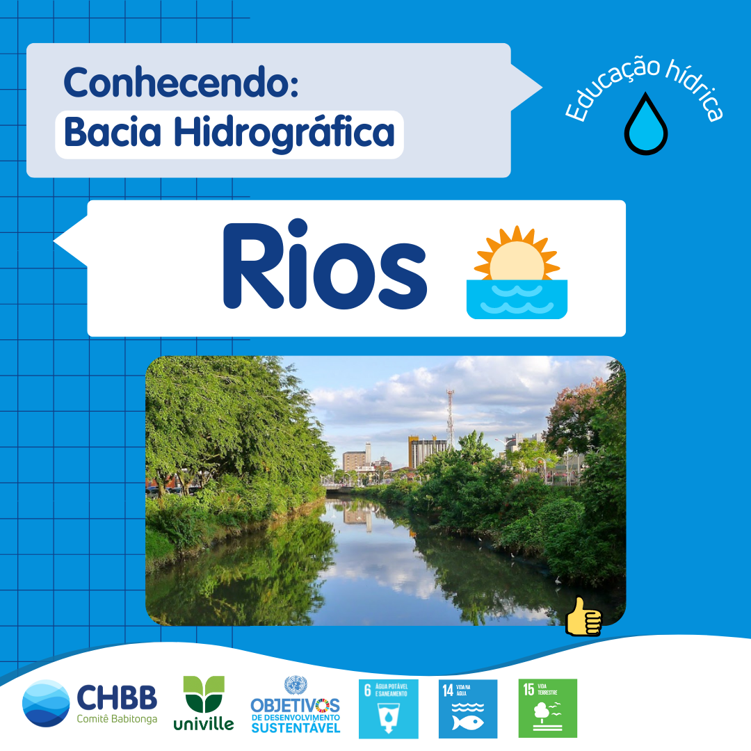 CHBB - Comitê de Gerenciamento das Bacias Hidrográficas do Complexo ...